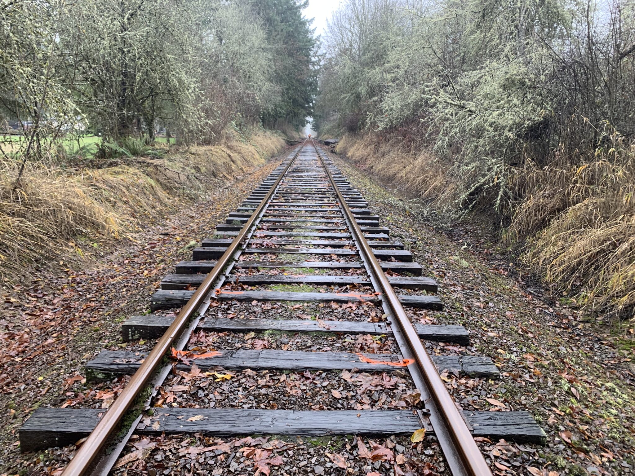 The Ongoing Saga of the Portland Vancouver Junction Railroad (PVJR ...